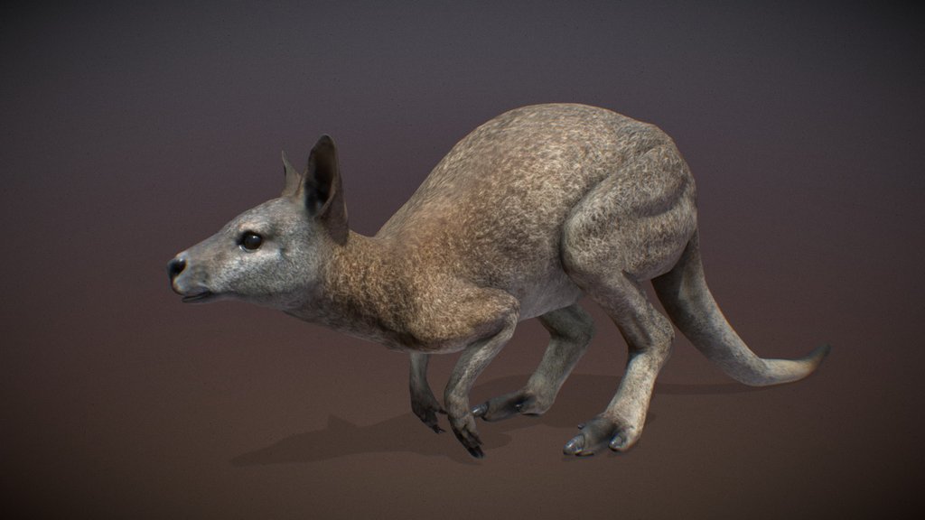 Animals and pets - A 3D model collection by Carlos_lena - Sketchfab