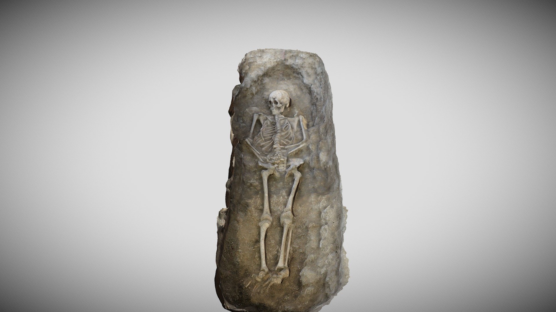2020 - Rapolt Artifact 1 - Skeleton - Download Free 3D model by ...