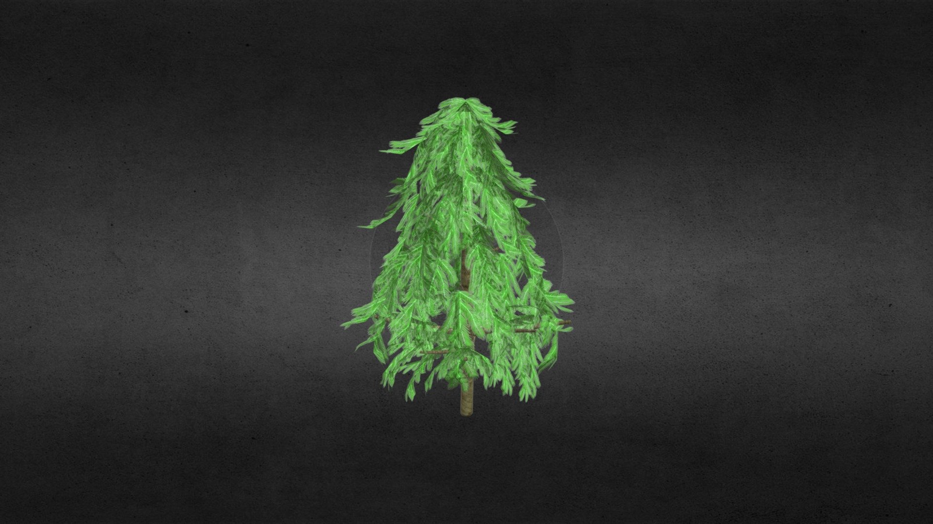 Pine - 3D model by SnakeGEv [2379eab] - Sketchfab
