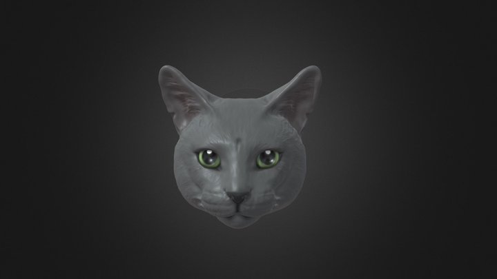 Russian-blue 3D models - Sketchfab