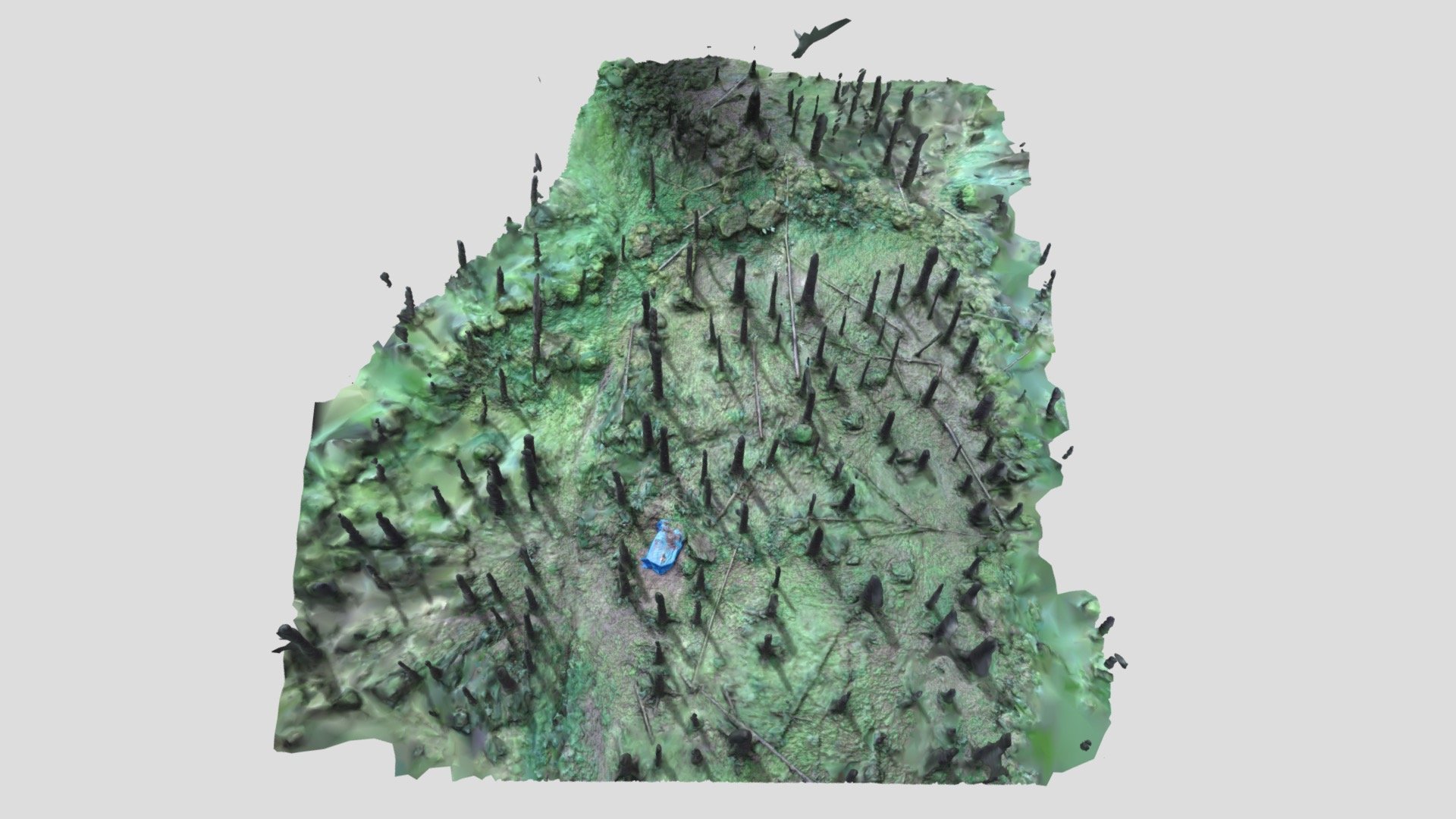 PB23 3D Landscape scan - Download Free 3D model by gabyburns55 [237eb6c ...