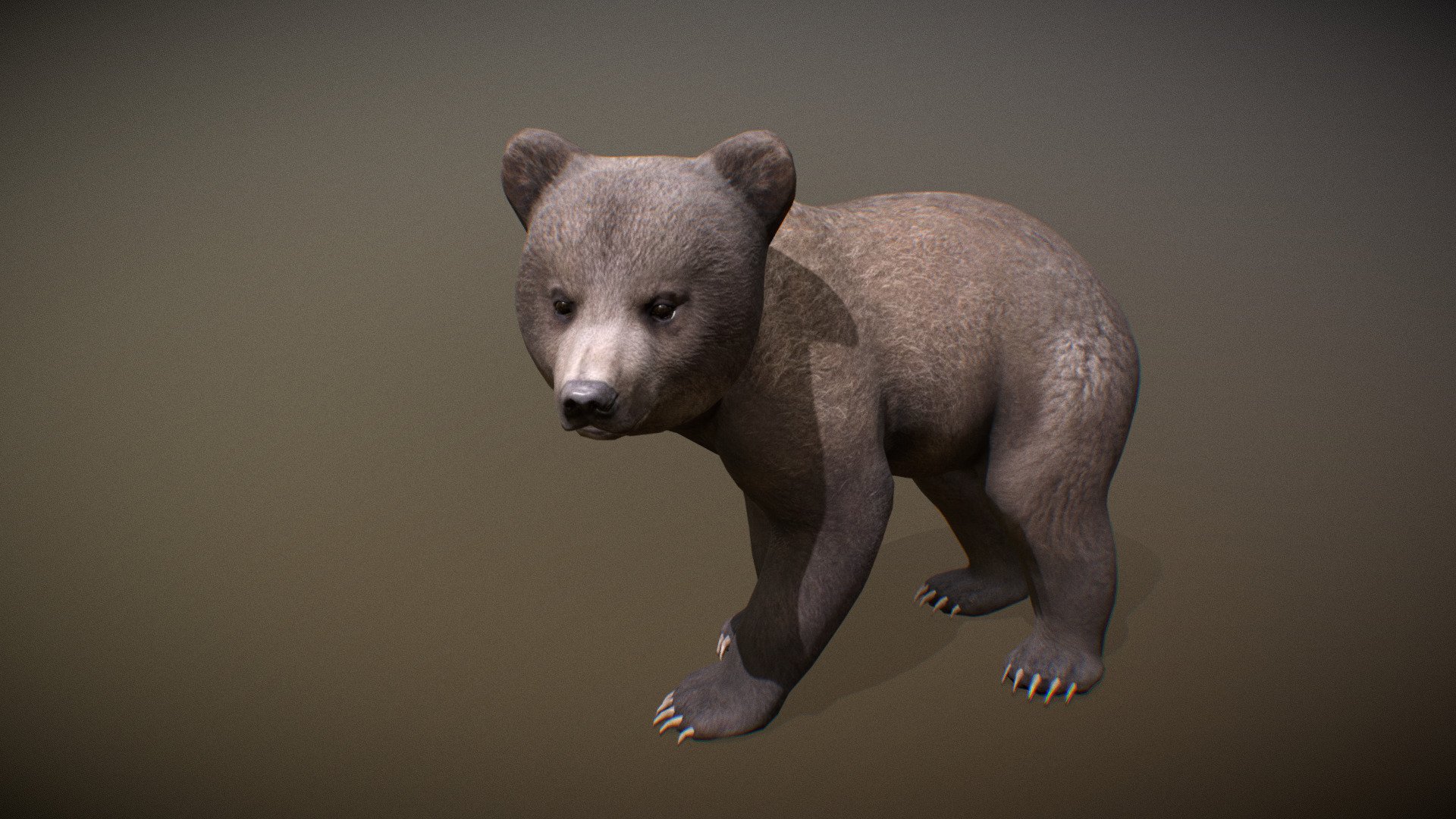 Animalia - Brown Bear (young) - 3D model by GiM (@GamesInMotion ...