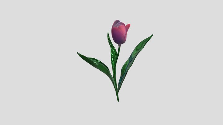 Bunga 3D models - Sketchfab