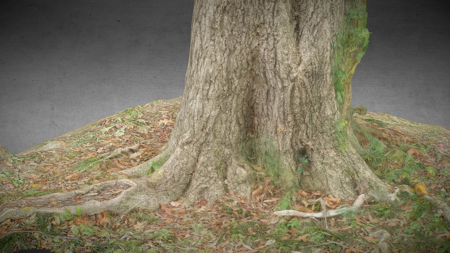huge Tree with vein - Download Free 3D model by majedhd [23958fc ...
