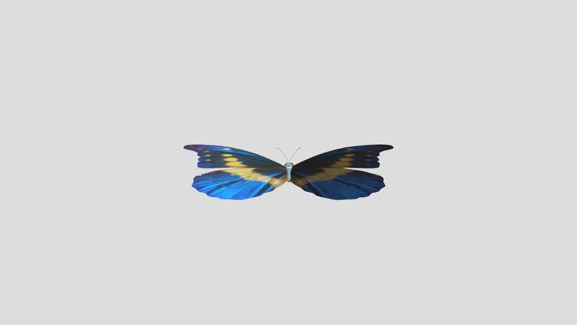 Kupu - Download Free 3D model by Batrish [239d46d] - Sketchfab