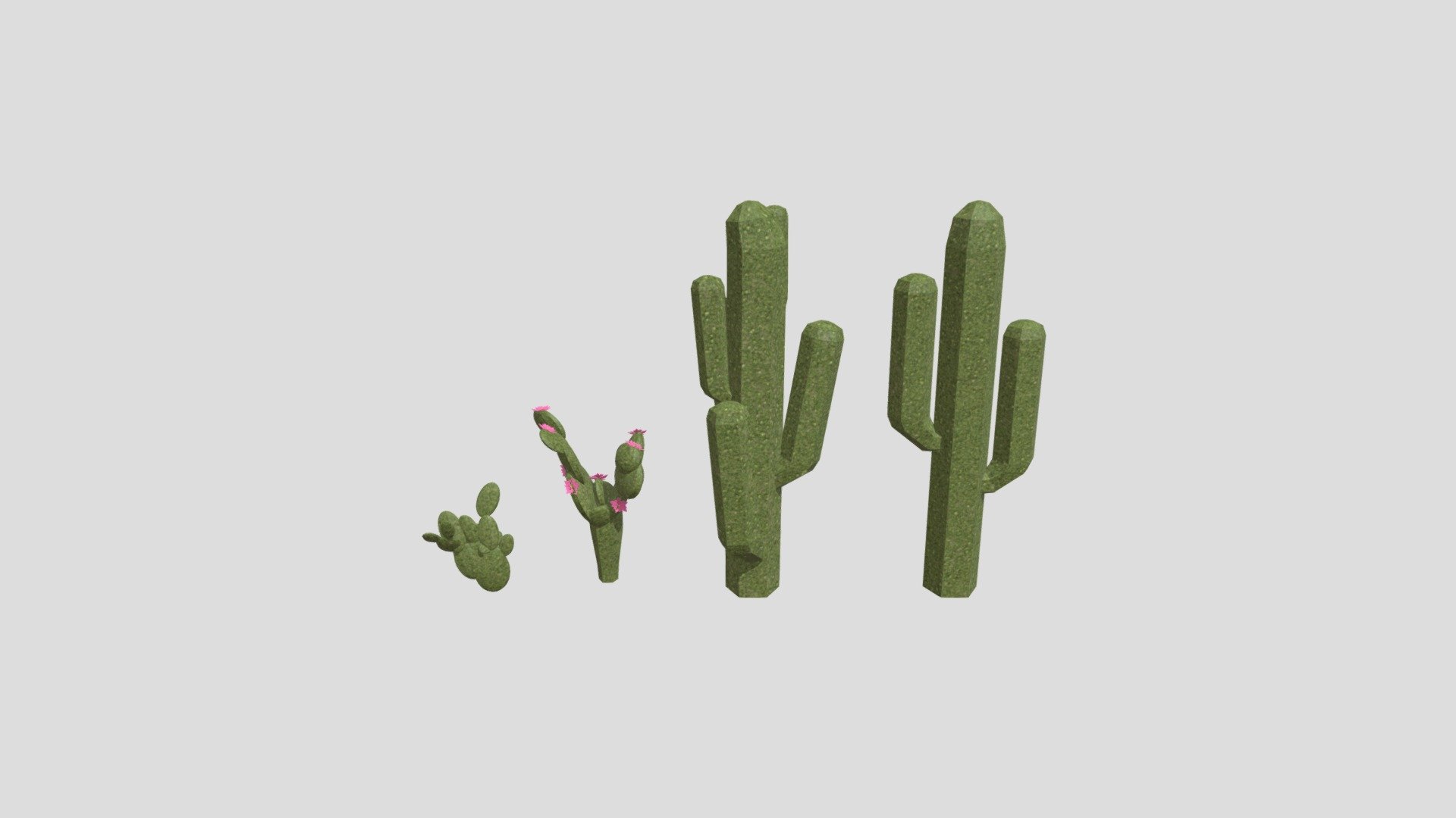 Cactus - 3D model by anouk7732 [23ad93a] - Sketchfab