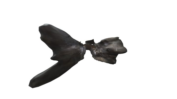 Grotto 3D models - Sketchfab