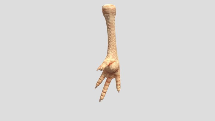 Chickenfood 3D models - Sketchfab