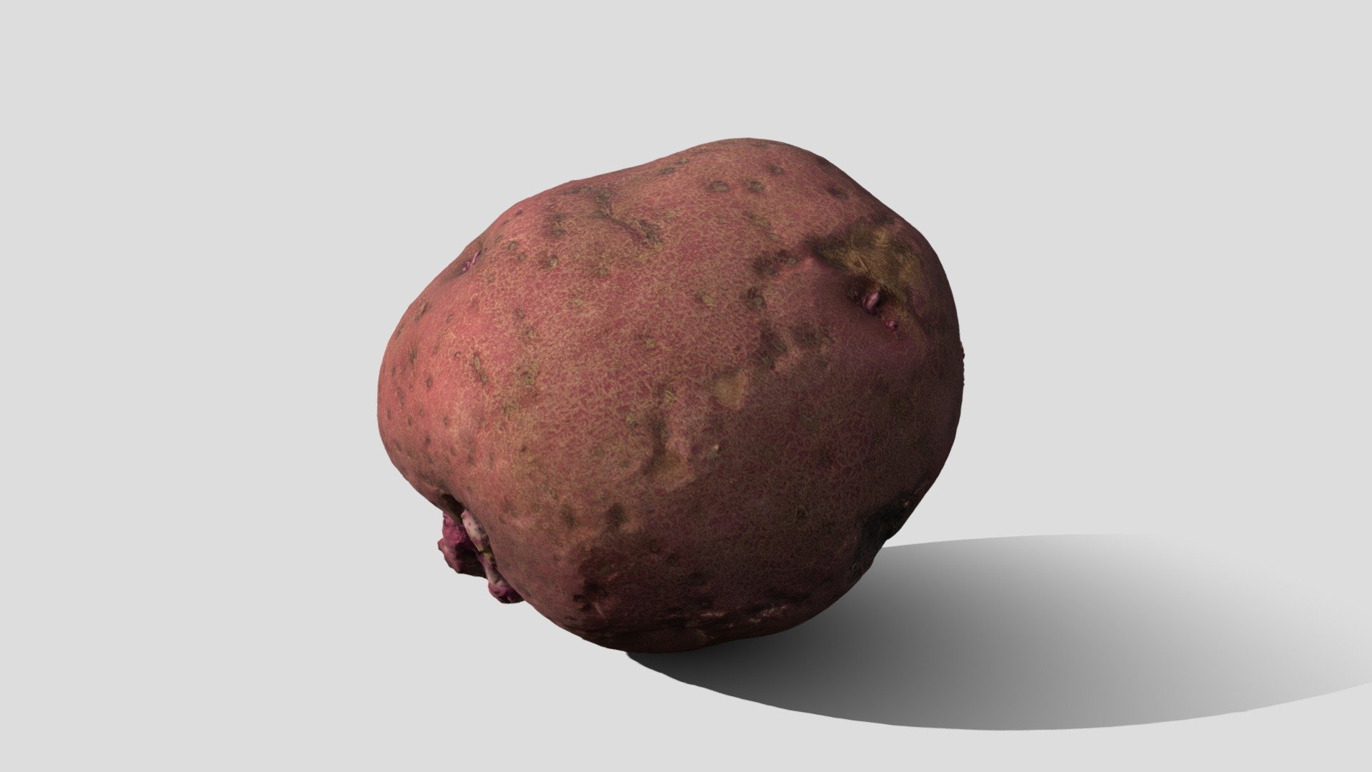 Patate rouge - Download Free 3D model by artorius [23c52a9] - Sketchfab