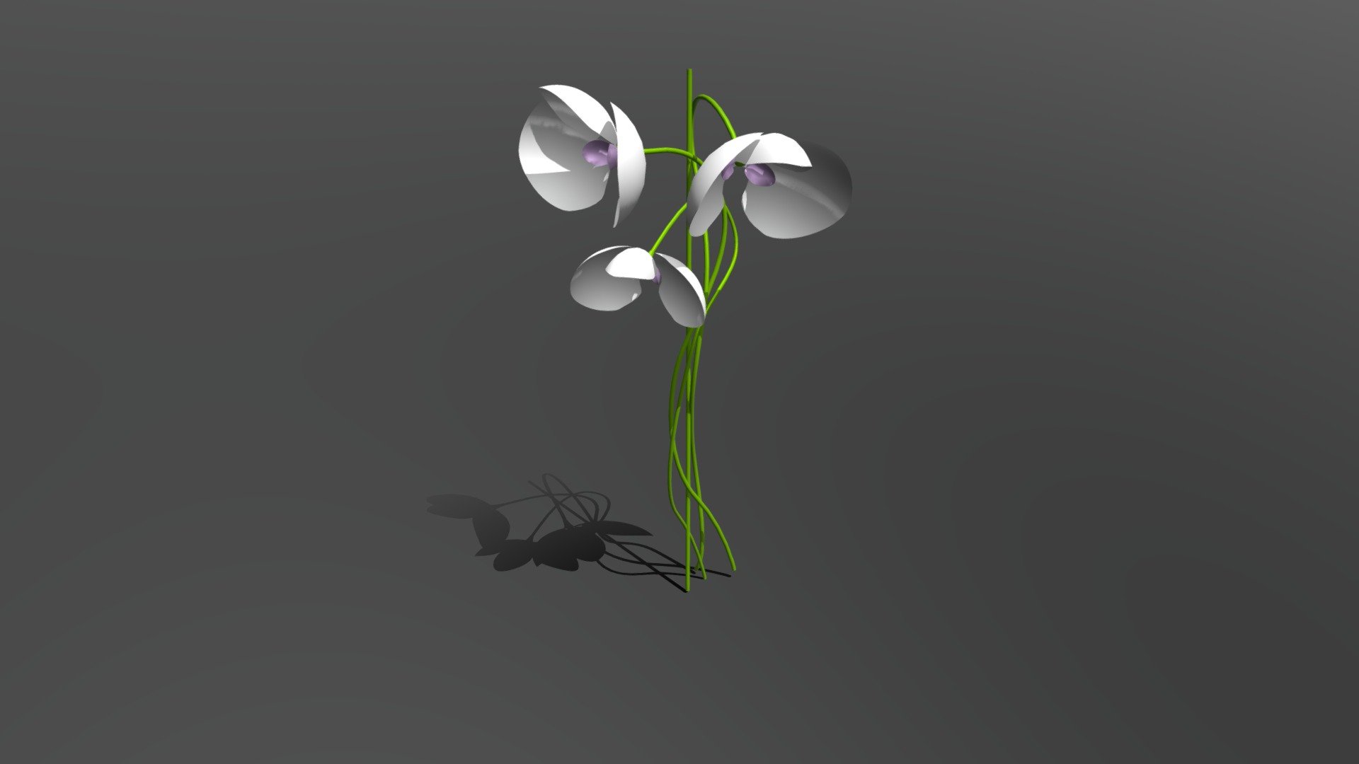 Torch Orchids - Download Free 3D model by spencerlindsay [23c639c ...