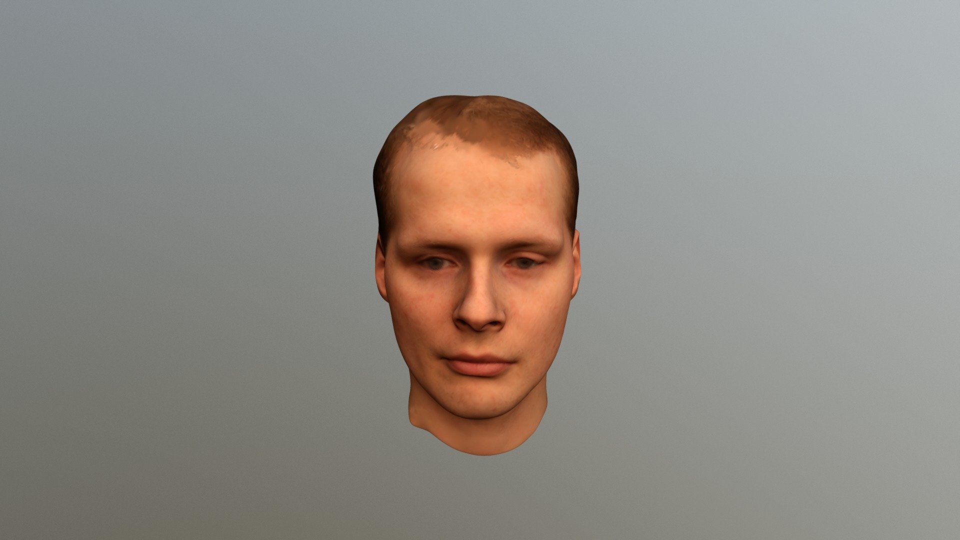 Human Head - Download Free 3D model by dream.digital (@dreamdigital ...