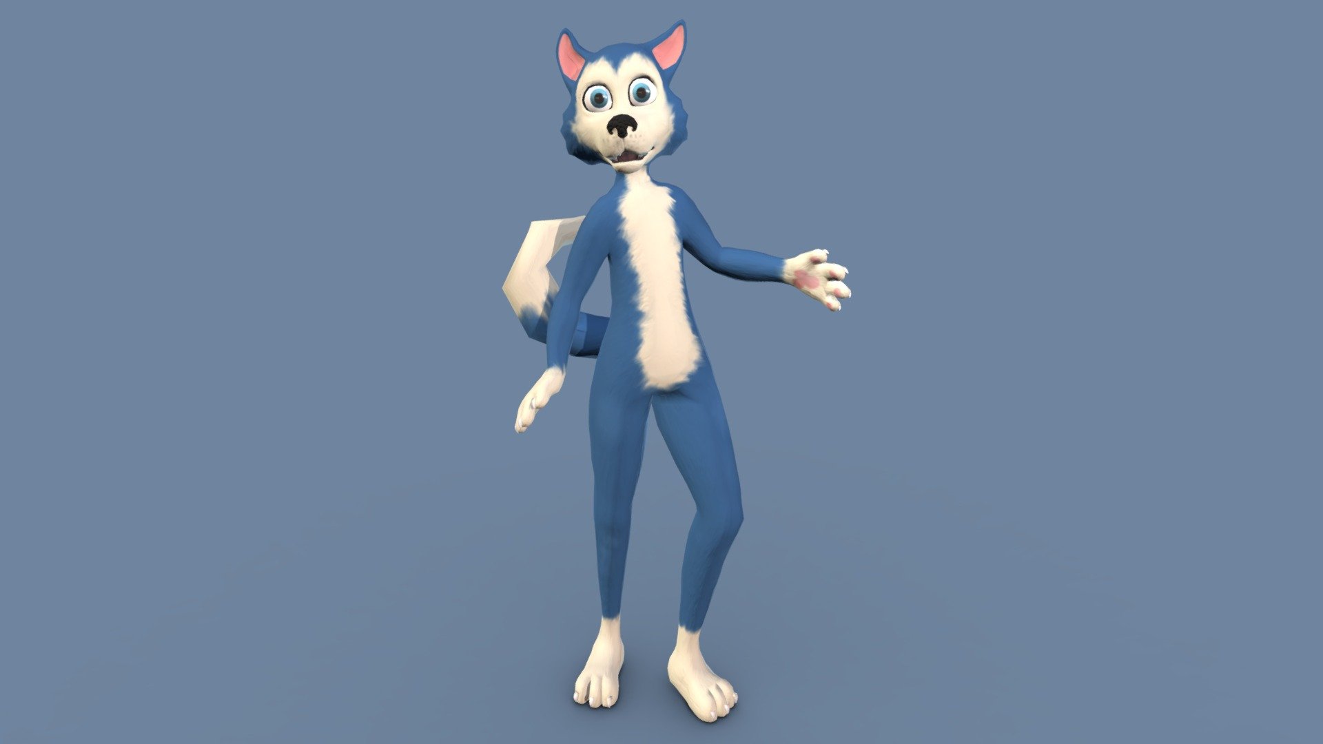 Blue Anthro Wolf - Buy Royalty Free 3D model by Daringcuteseal [23d397e ...