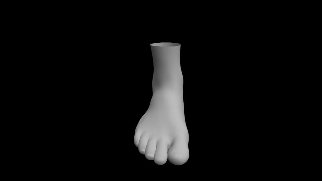 Foot - 3D model by clare.carroll [23dac78] - Sketchfab