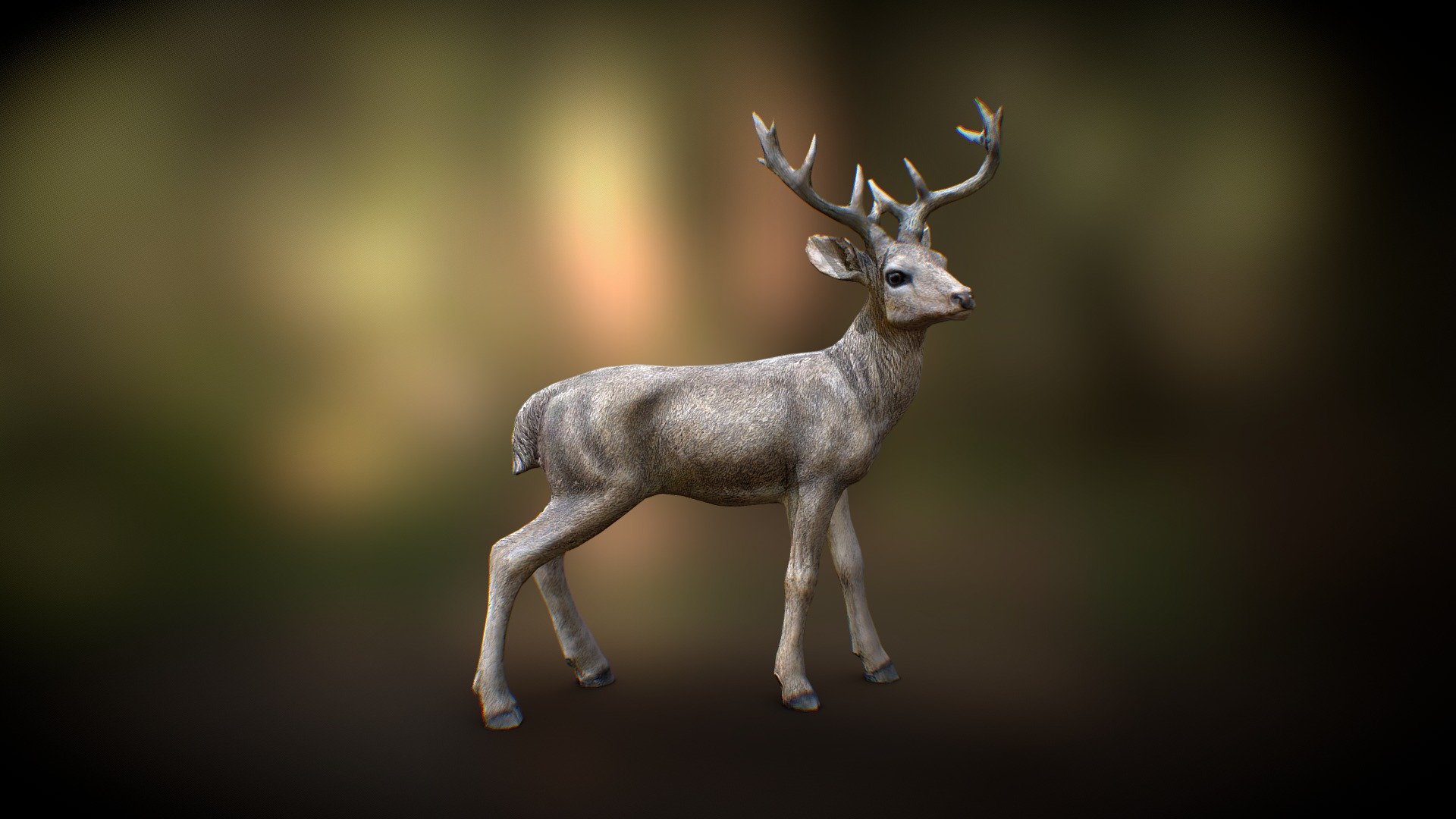Reh 3.0 - Download Free 3D model by Rene-L211979 (@renelambert ...