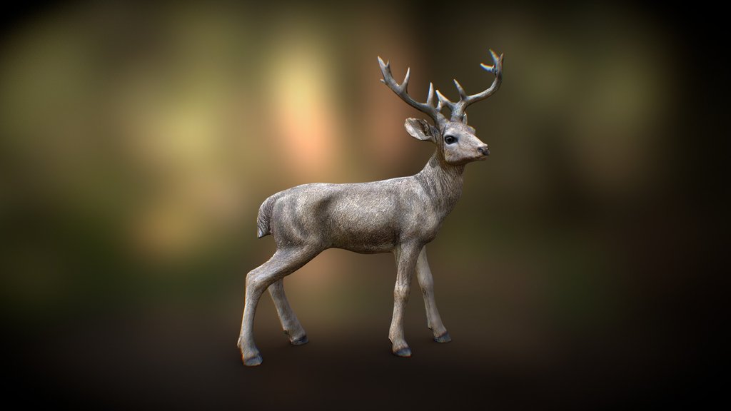 Characters_Animals - A 3D model collection by Claidi - Sketchfab