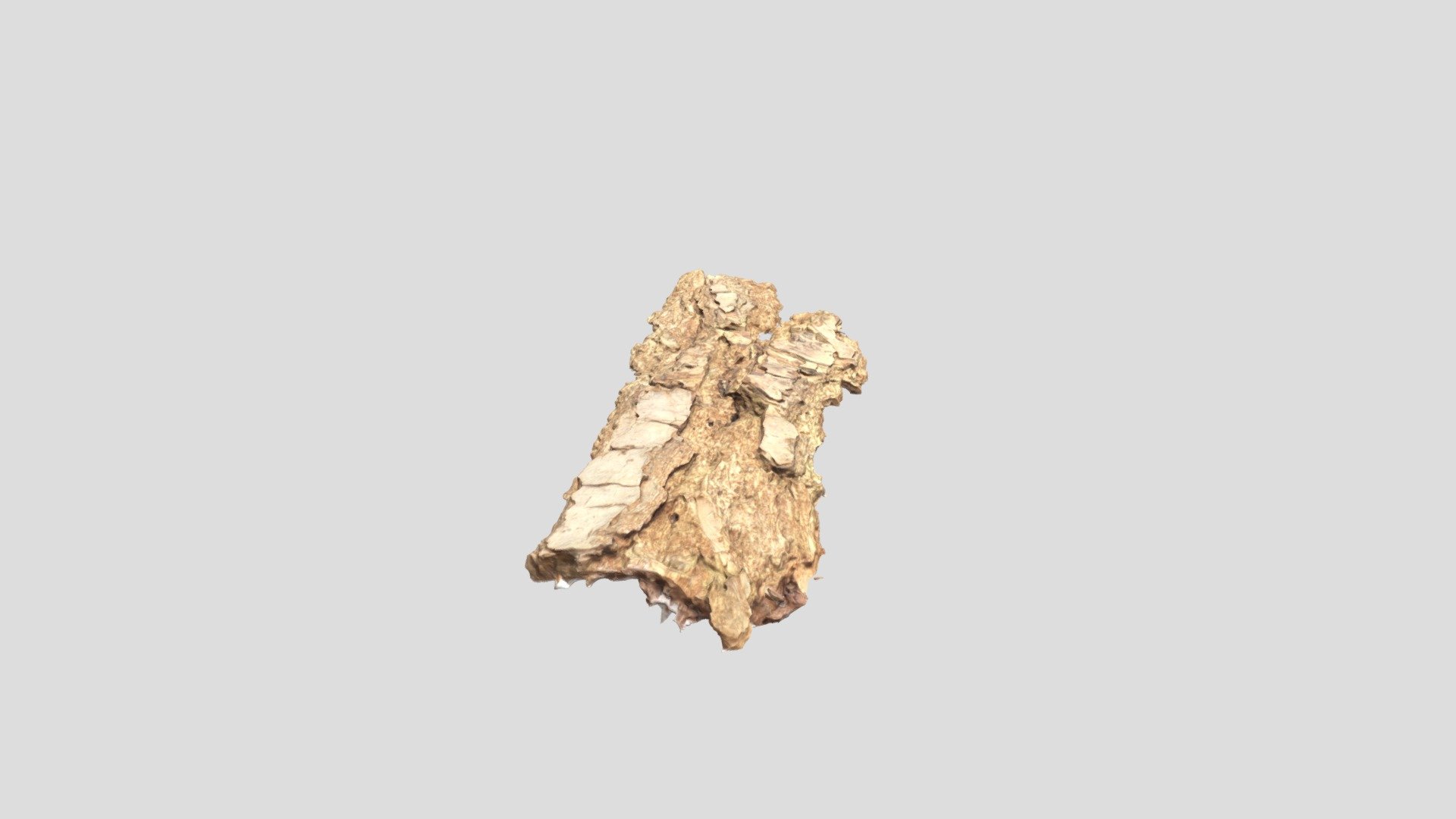 Bark - 3D model by Lapis Design (@LapisDesign) [23ded65] - Sketchfab