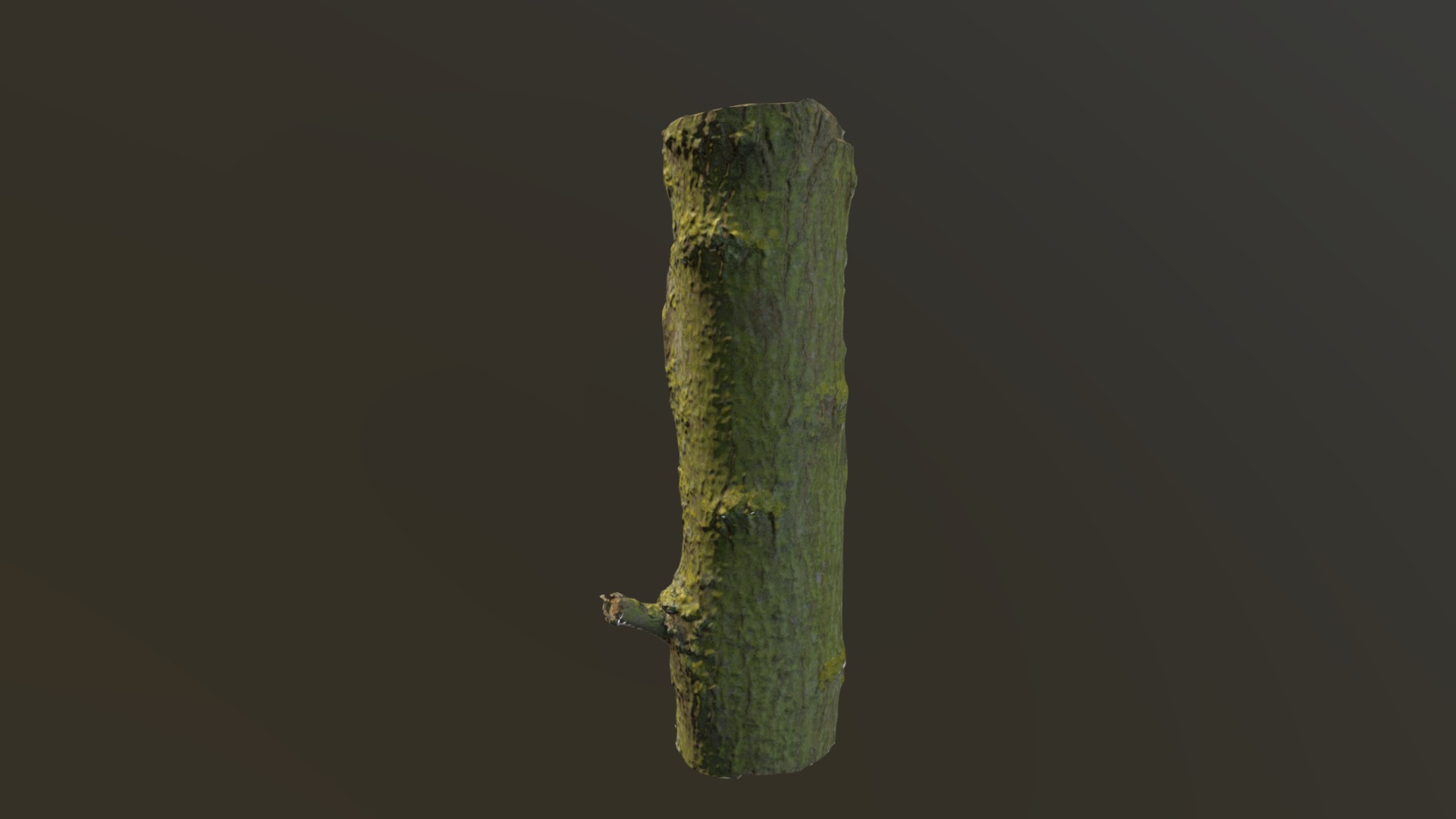 Tree Trunk - 3D model by RV_MH [23e4cc5] - Sketchfab