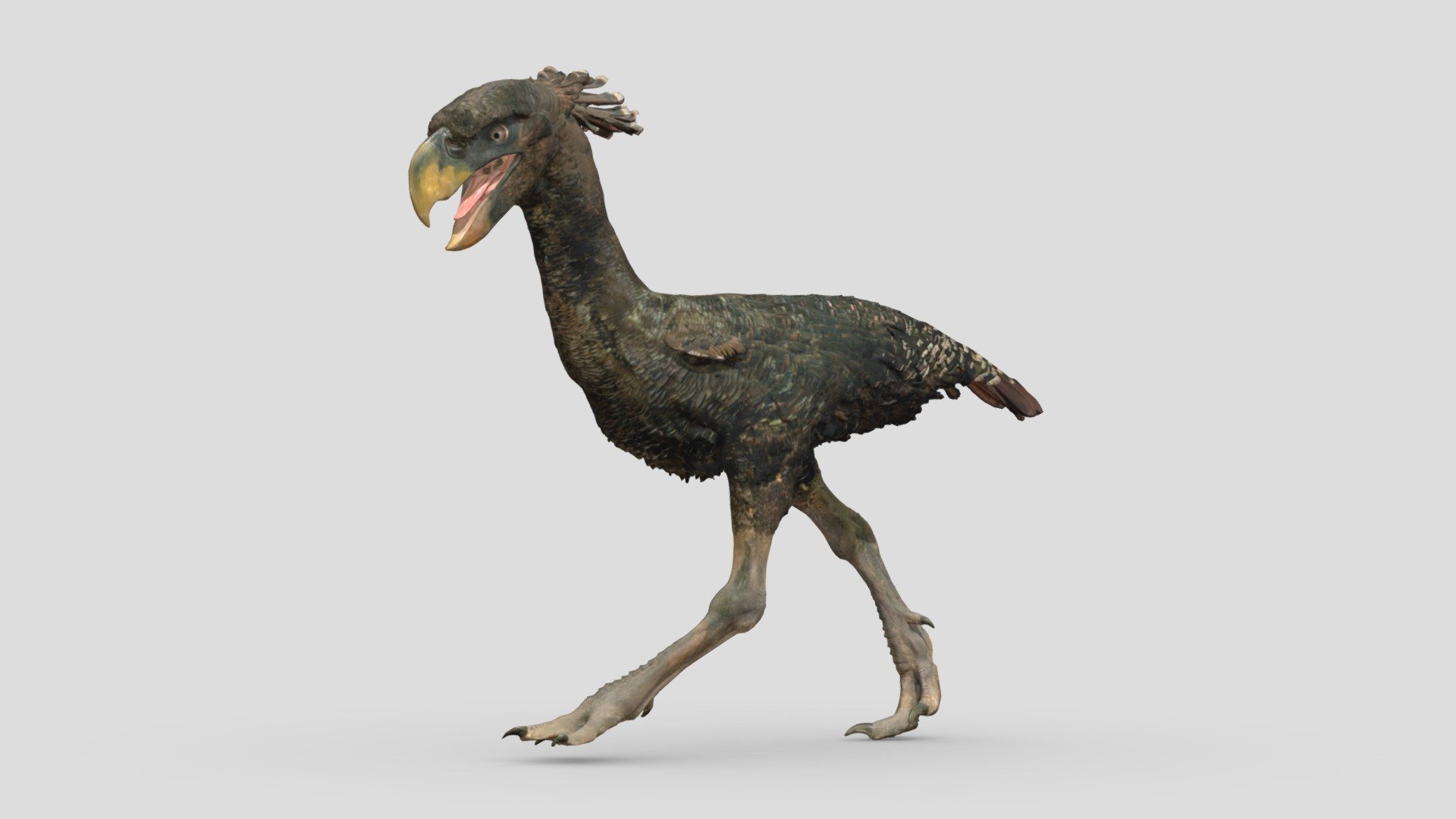 Terror Bird NHMW - InstaLOD - 3D model by Thomas Flynn (@nebulousflynn ...