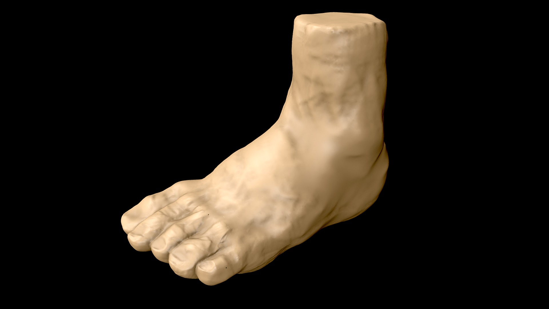 Foot Sculpting - 3D model by Kiisaku [23f9ff7] - Sketchfab