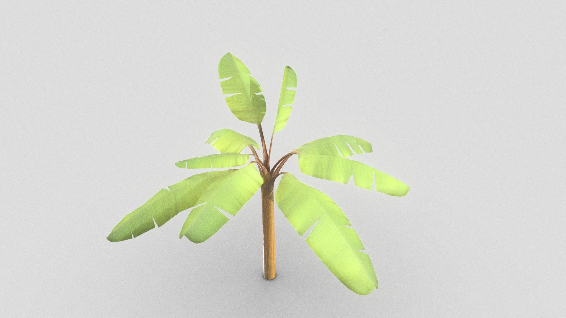 simple_bananatree_00 - Download Free 3D model by c.gleison [23faeed ...