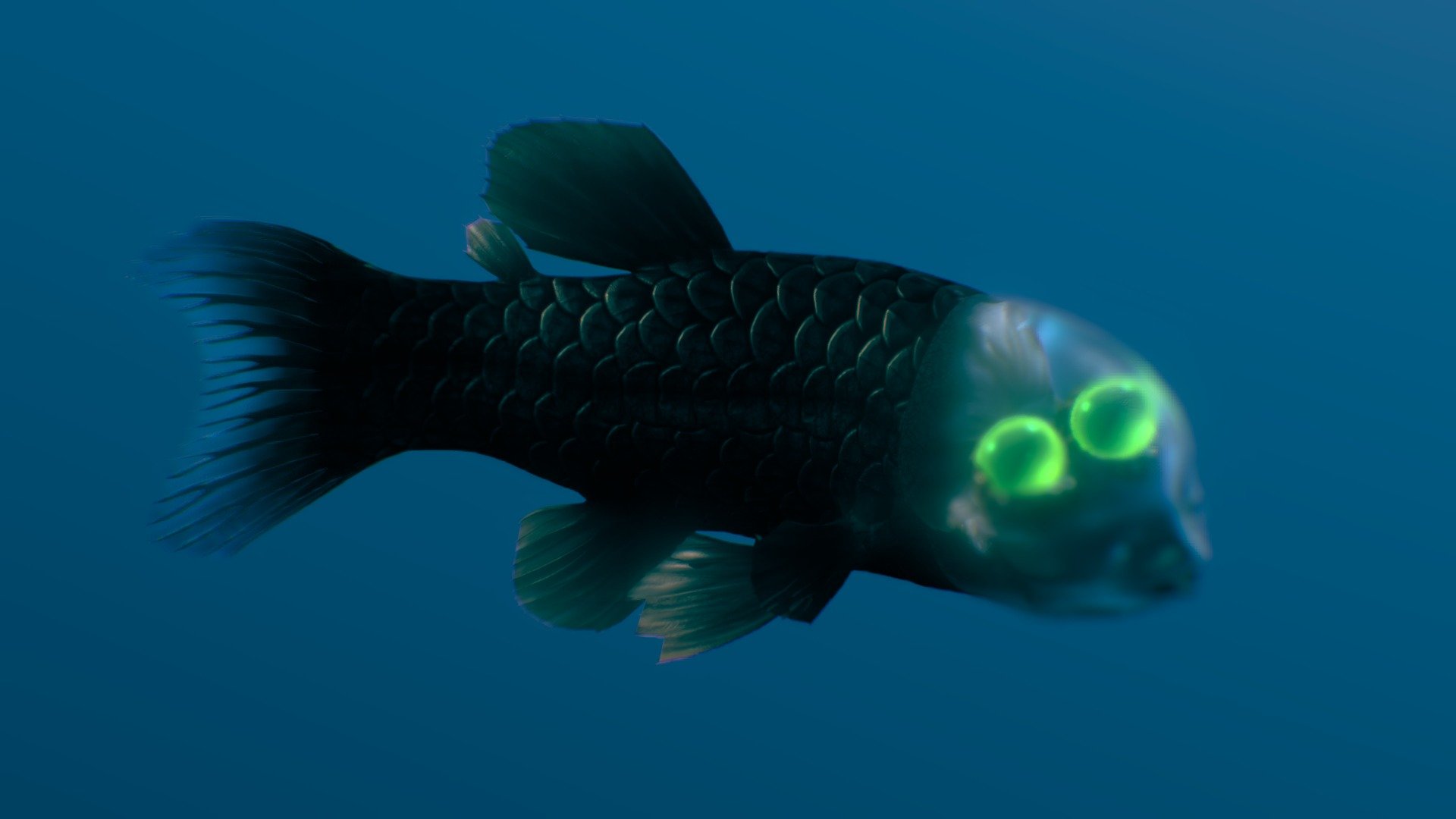 Macropinna - Buy Royalty Free 3D model by Nestaeric [2405706 ...