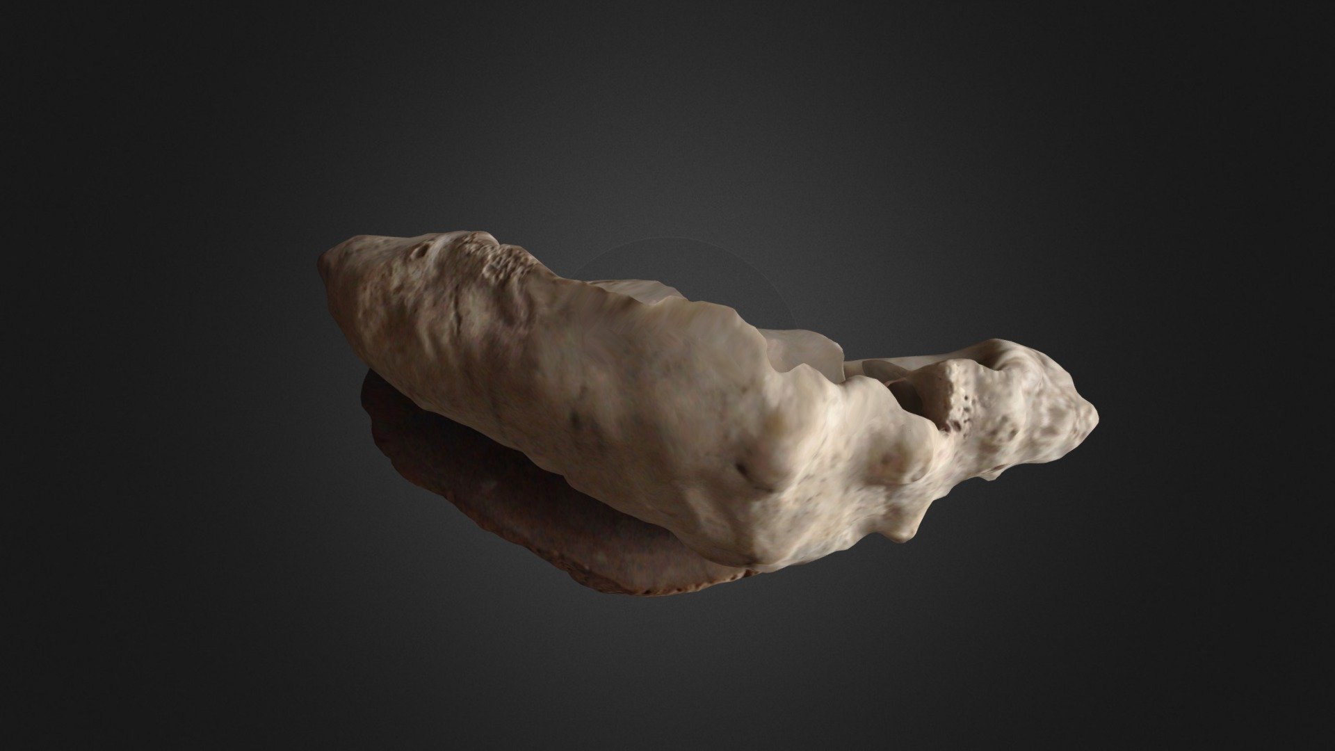 Shell 1 - 3D model by boomboy [240a6c0] - Sketchfab