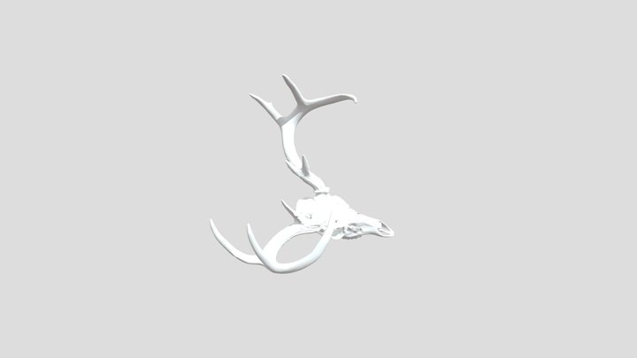 Antlers 3D models - Sketchfab