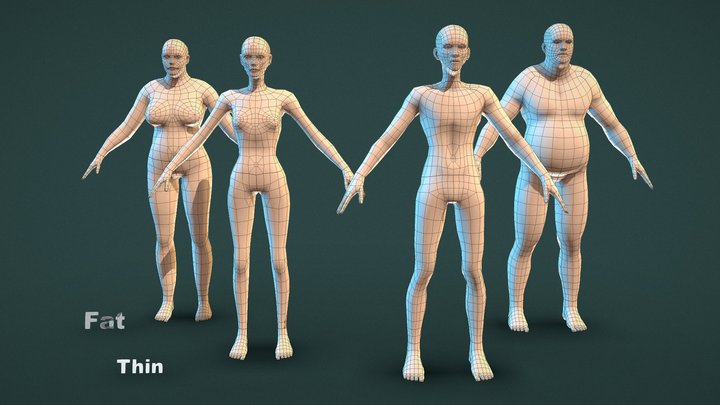 Base 3D models - Sketchfab