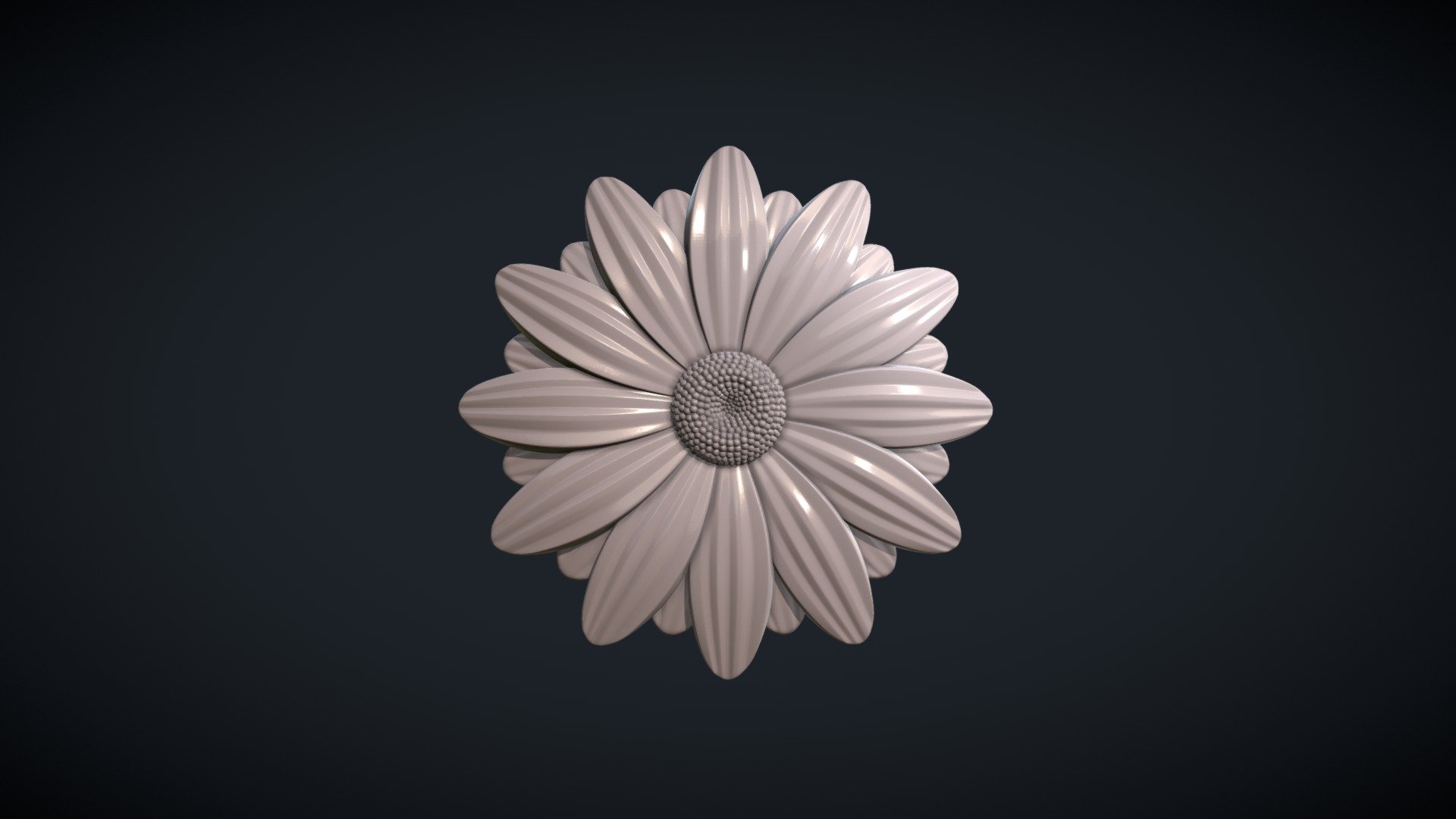 Daisy - 3D model by Skazok [242553e] - Sketchfab