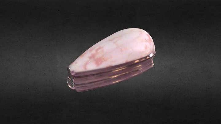 Snuff 3D models - Sketchfab