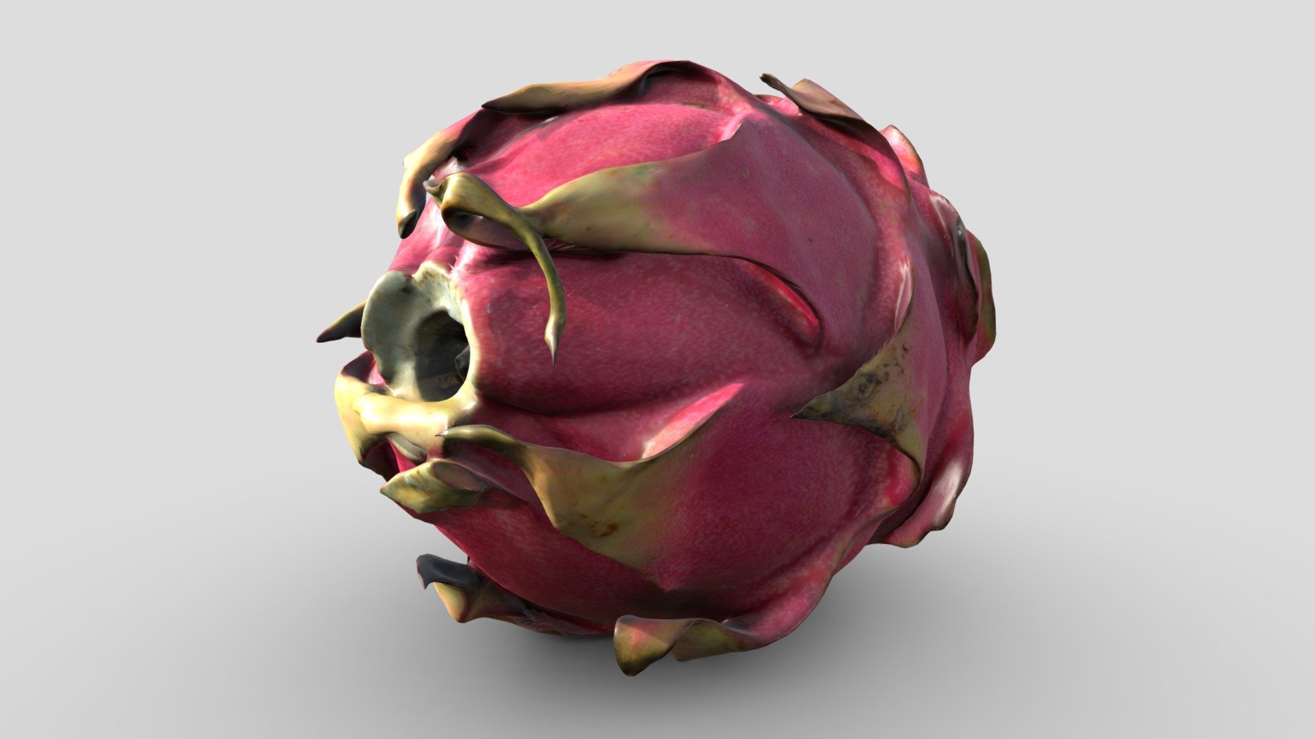 Photogrammetry Dragon Fruit (Remeshed) - Download Free 3D model by Old ...