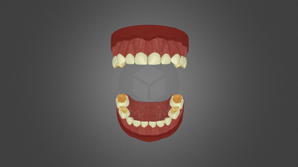 Character references - A 3D model collection by Lyri12732 - Sketchfab