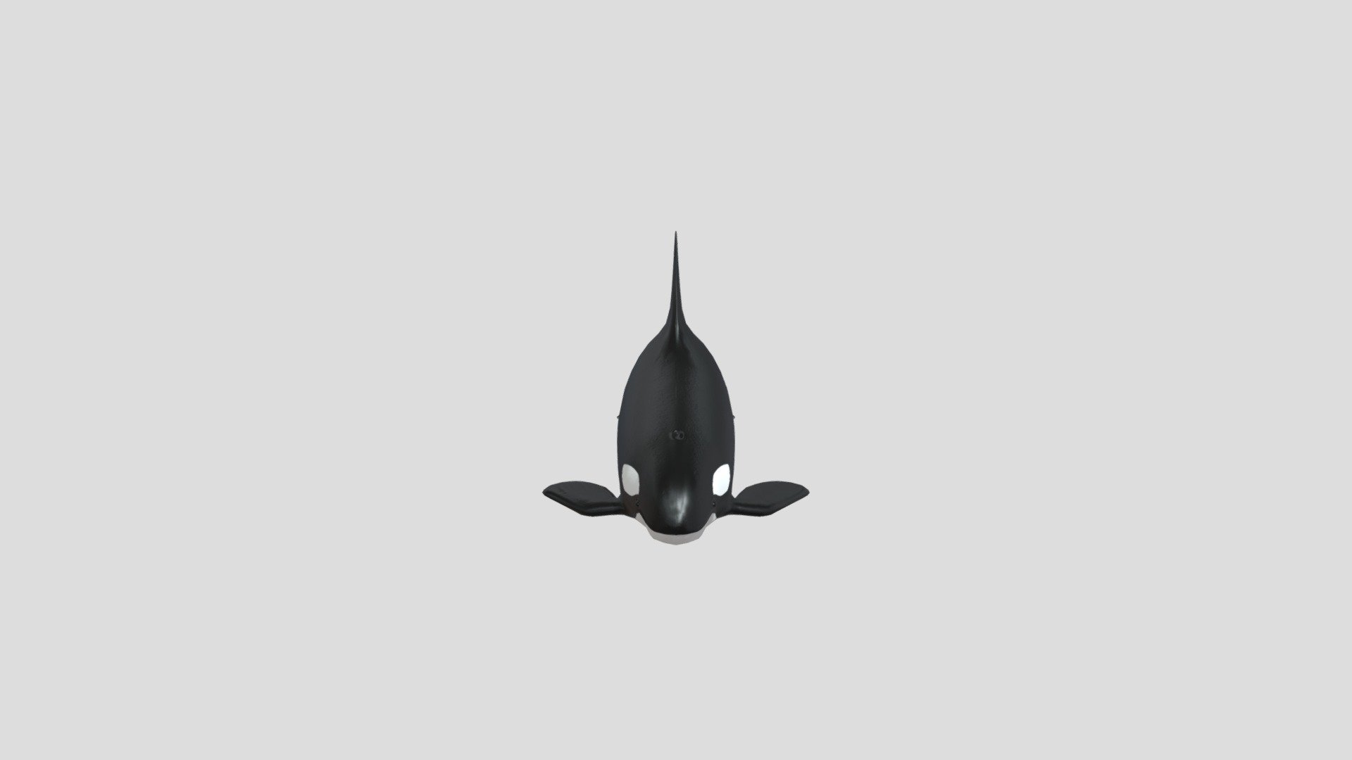 Orca - 3D model by GondoArts [2449960] - Sketchfab