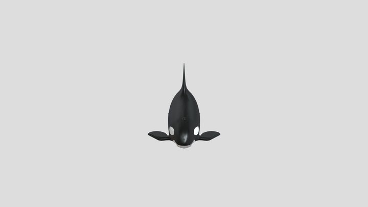 Orca 3D models - Sketchfab