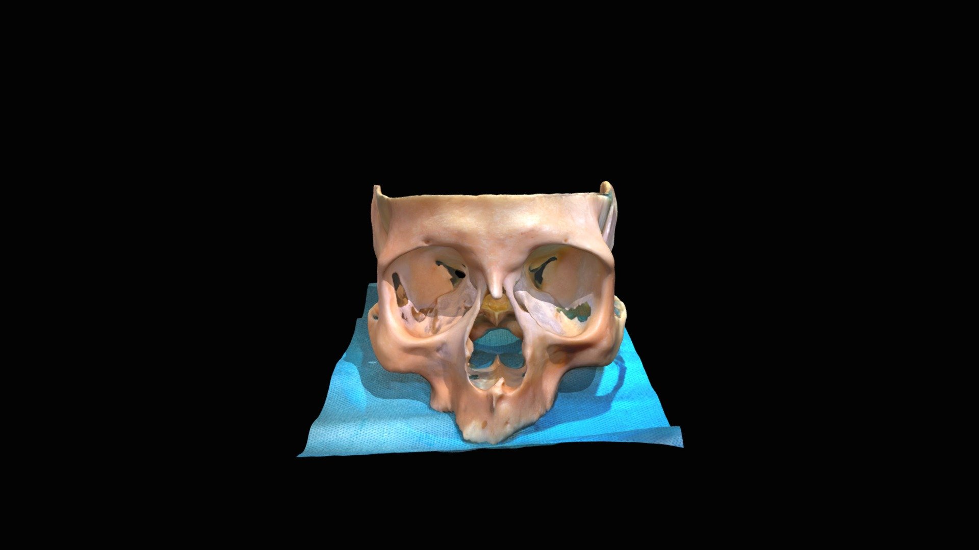 Toa_step_1 - 3D model by Anonymous (@anonymus.) [244a17b] - Sketchfab