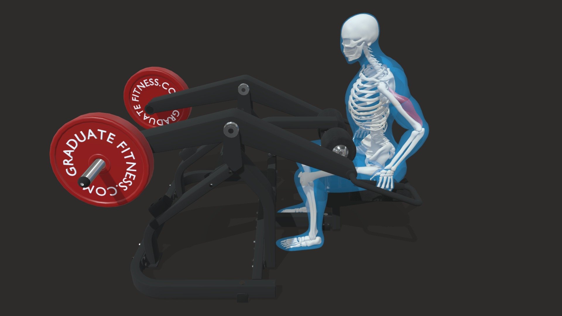 The Plate Loaded Tricep Dip Machine - 3D model by Michael Shortall ...