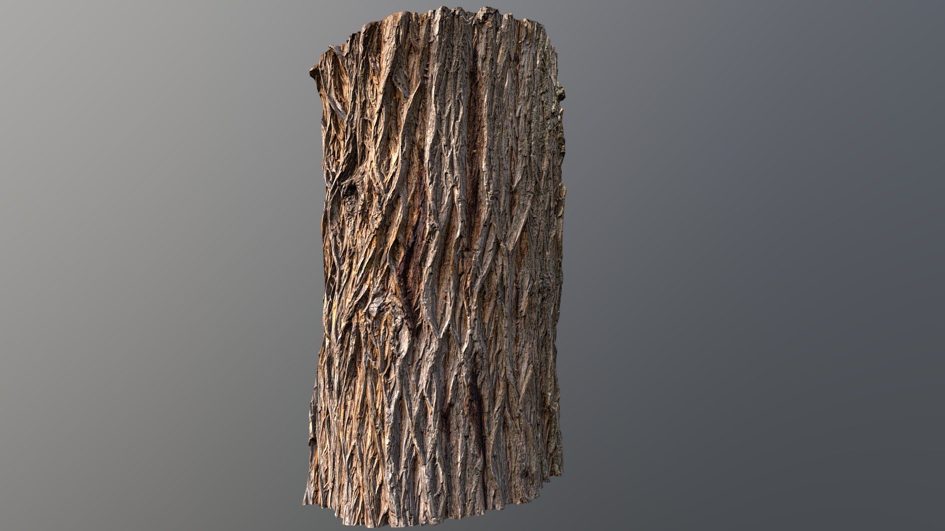 Tree bark photogrammetry test - 3D model by andro43bg [2458d09] - Sketchfab