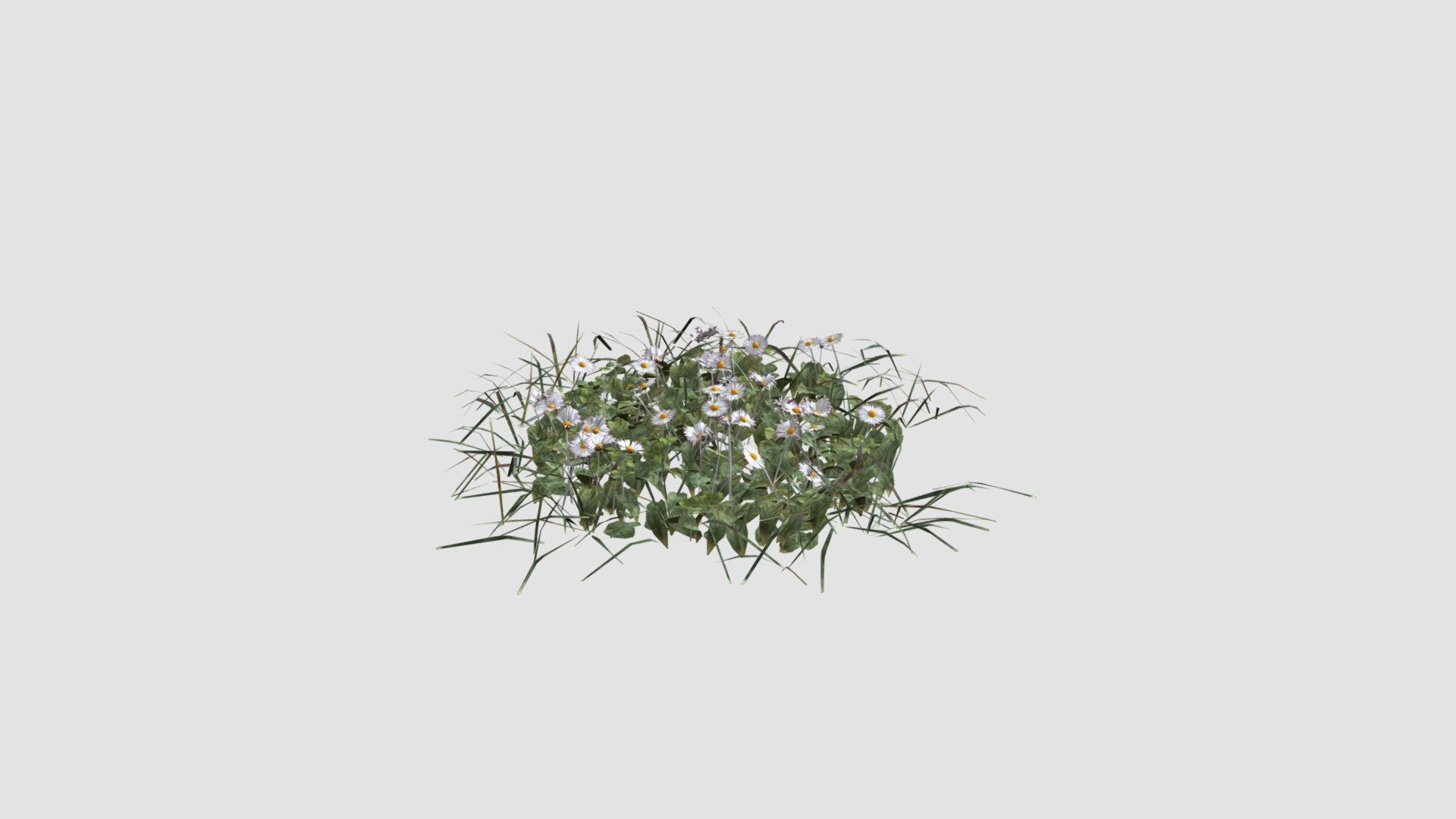 simple grass medium - Buy Royalty Free 3D model by Evermotion [245c728 ...