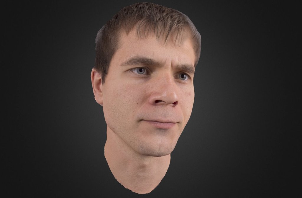 head reference - A 3D model collection by alieser - Sketchfab