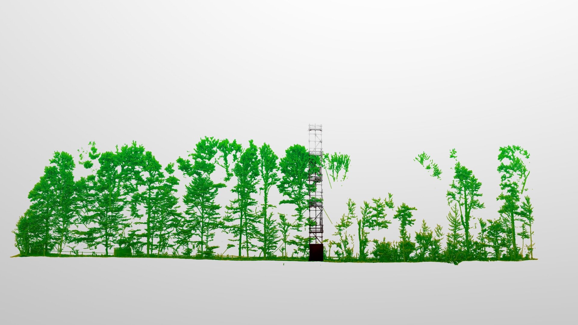 TLS transect Gontrode forest - 3D model by Q-ForestLab (Ghent ...