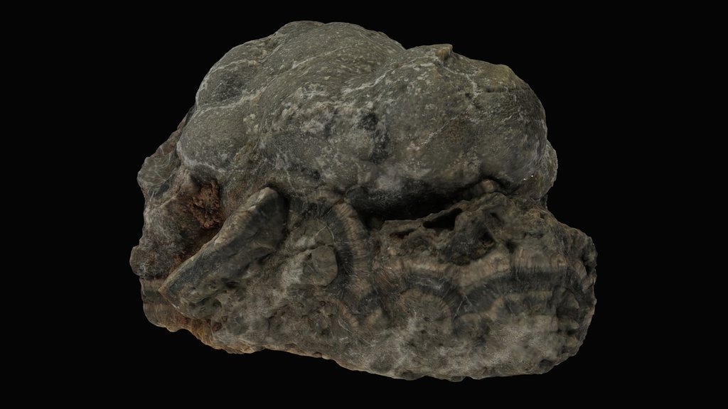 Salt diapir caprock project - A 3D model collection by Anke M ...