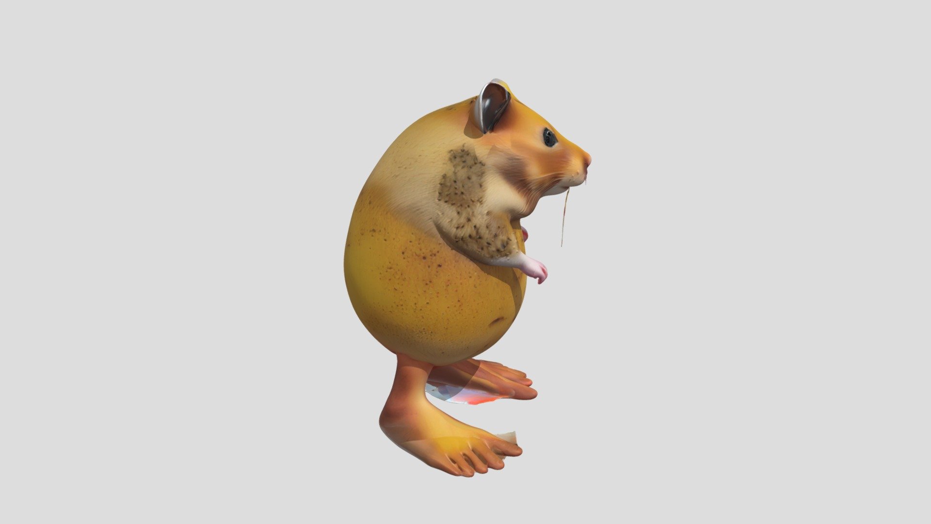 PI PI POTATO MODEL - Download Free 3D model by vantusmen8 [2480df8 ...