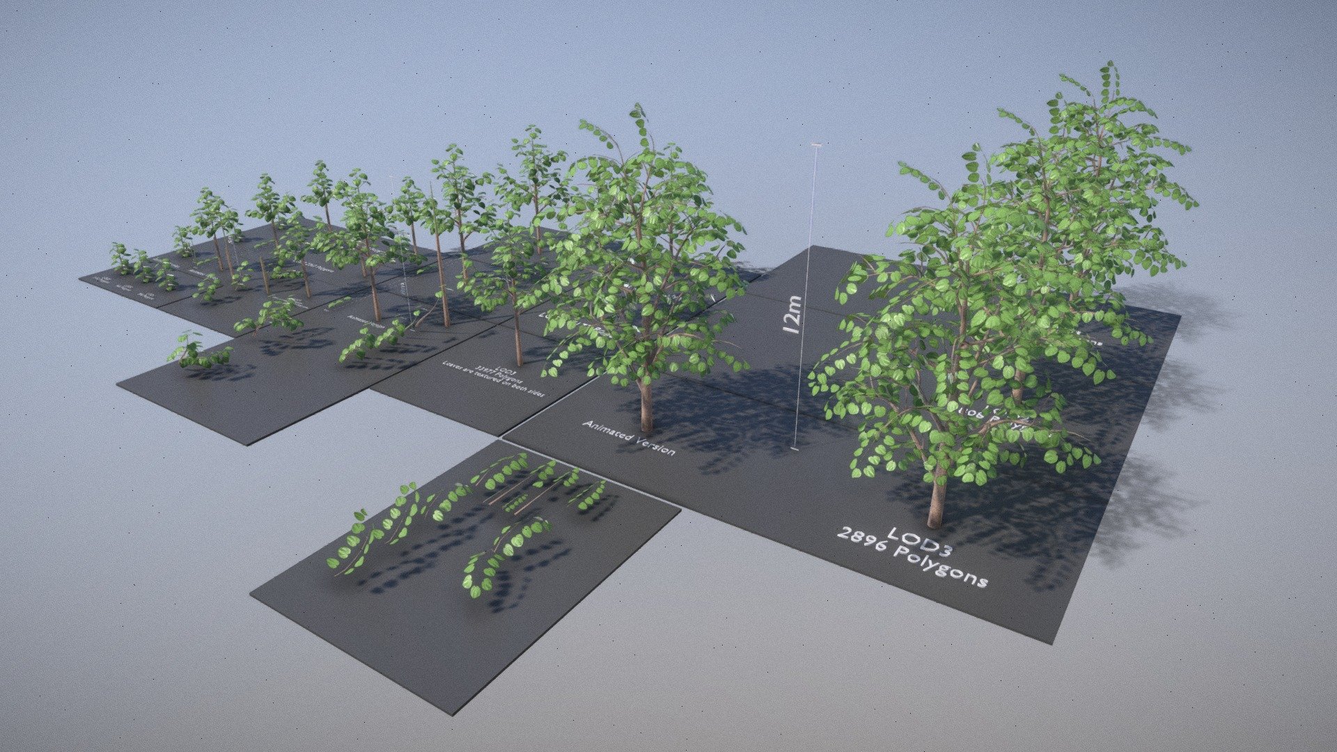 Empress-Tree (12 meter update) - Buy Royalty Free 3D model by VIS-All-3D (@VIS-All) [2483f23 ...