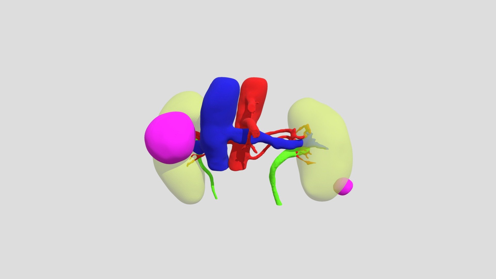 03_09_2021_Edgar - Download Free 3D model by augenmed [248523e] - Sketchfab