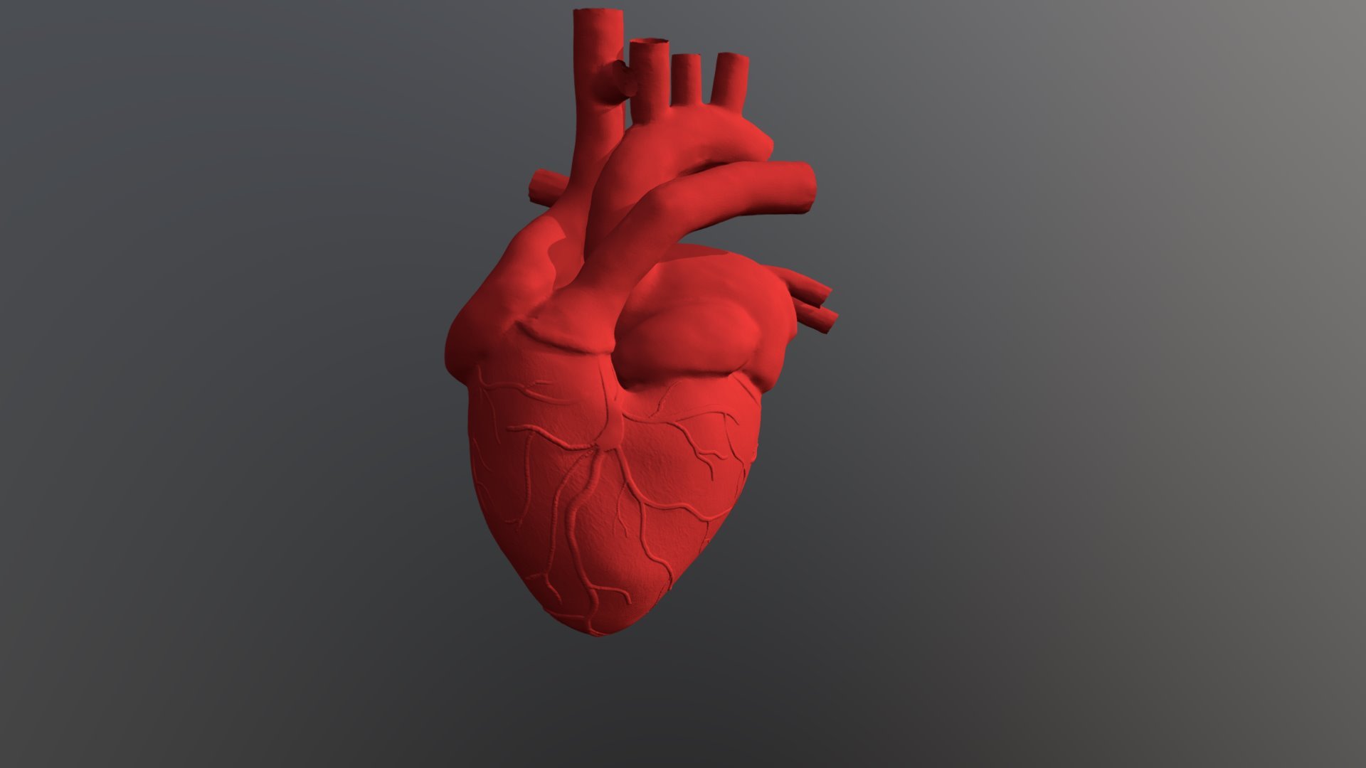 Heart - 3D model by Nahtsukop (@Romellon_G) [2489deb] - Sketchfab