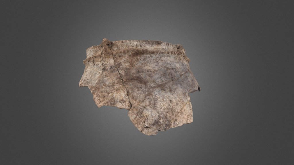 Gorshok 3 - 3D model by Alexander Cherkashin (@mr-alex-6) [248a5b9 ...