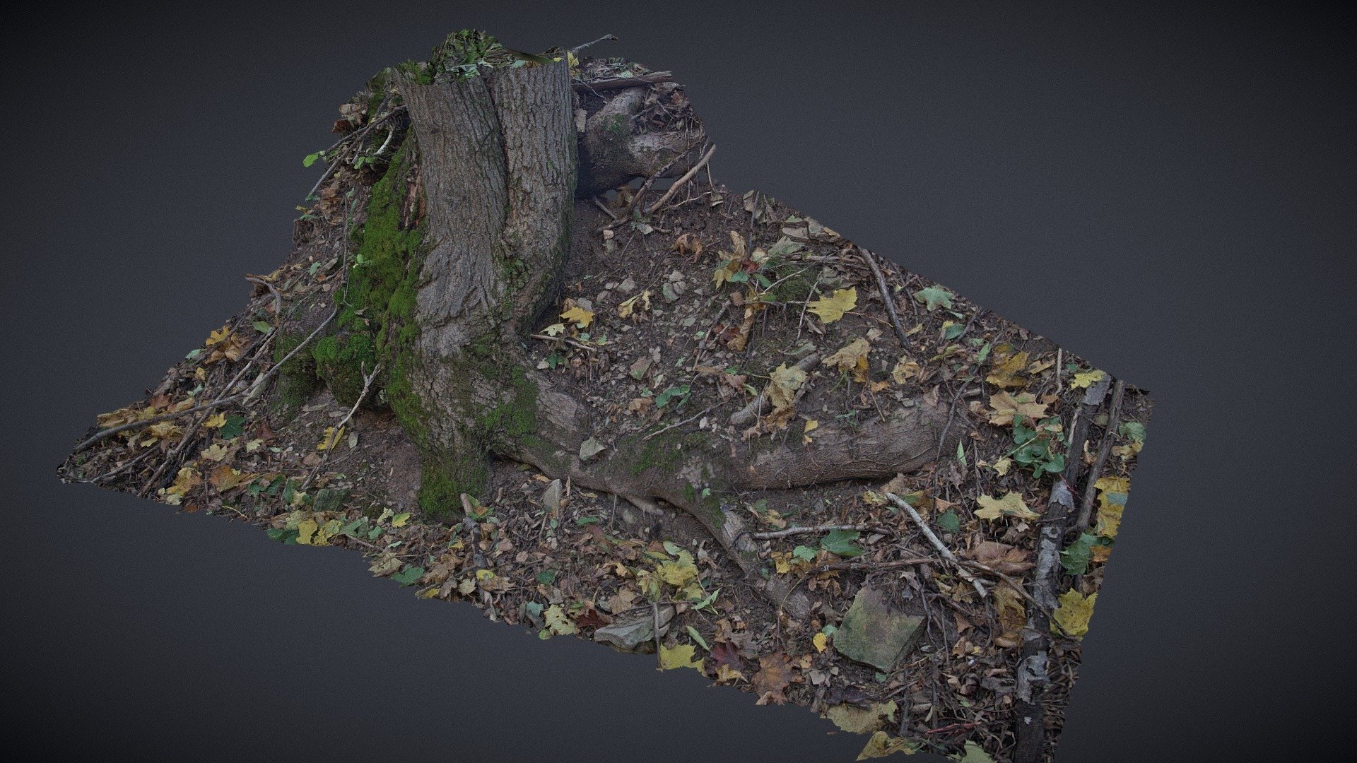 A Tree Trunk on Slope - Download Free 3D model by region_60 [248ae8a ...