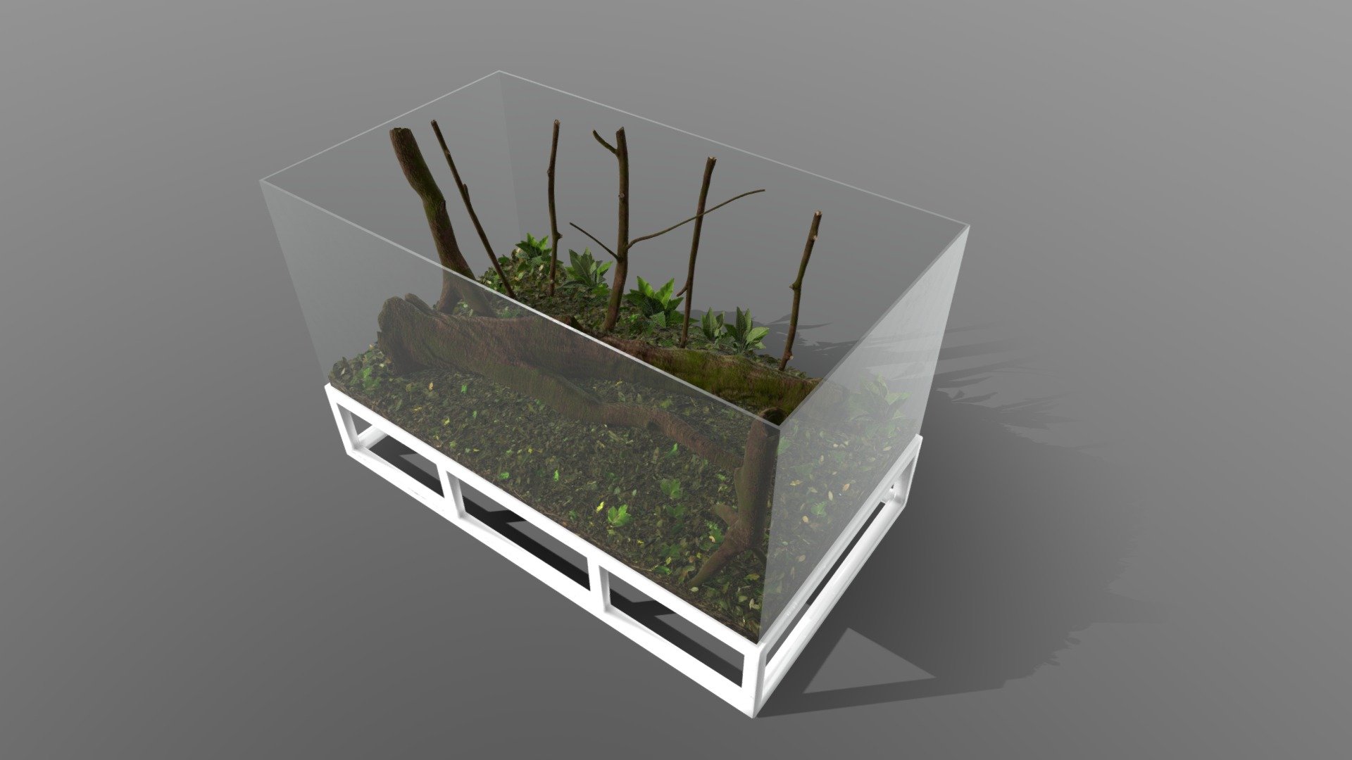 Aquarium/ Terrarium - 3D model by Adam Kiełbiński-Mielczarski ...