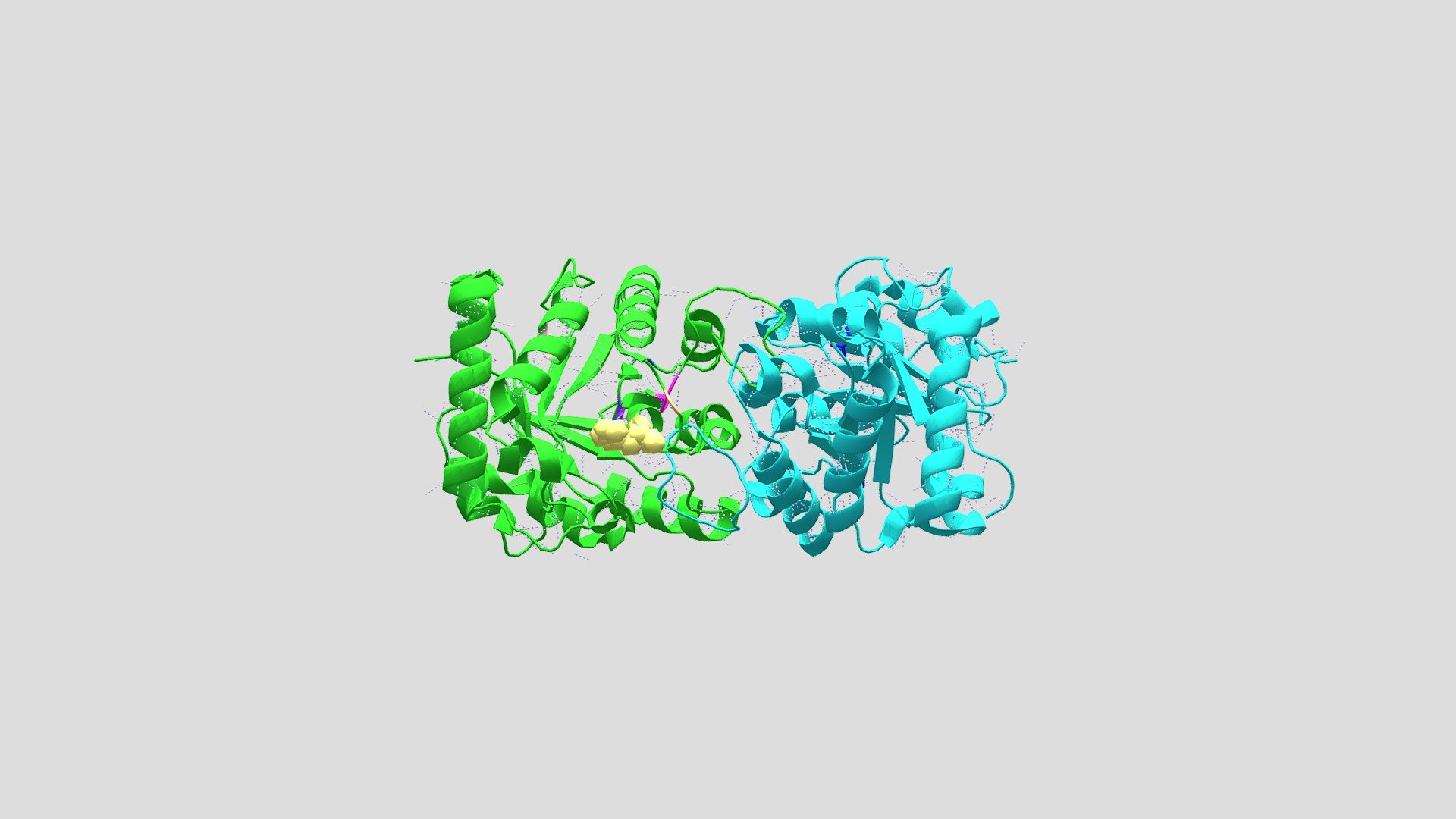 Ella Warner Pymol 3d Model By Ellawarner03 [24928a8] Sketchfab