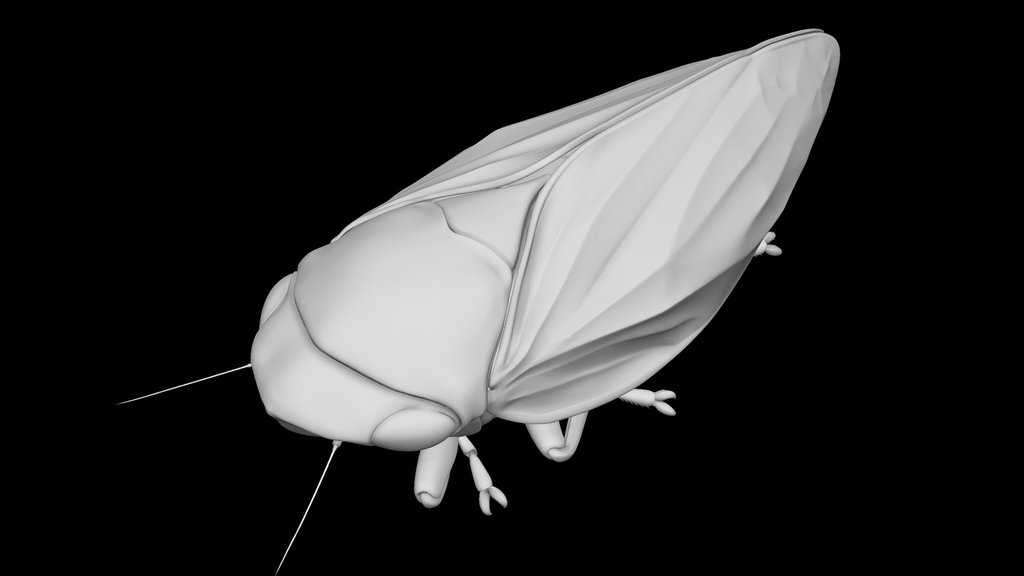 Insect - A 3D model collection by rodgercarr13601 - Sketchfab